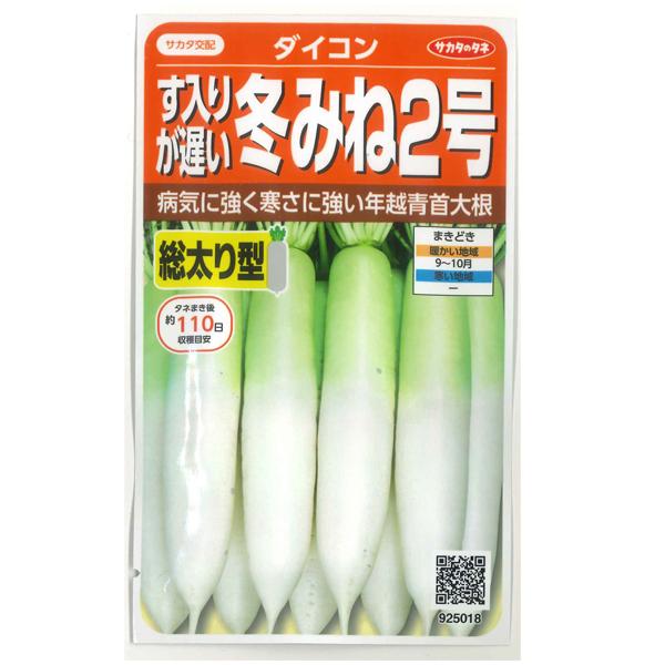 温暖地の9〜10月まきに適する青首大根で、トウ立ちが遅いので暖地まき越冬栽培で3月下旬まで収穫できます。根部は肉付きよくテリがあり、高品質です。