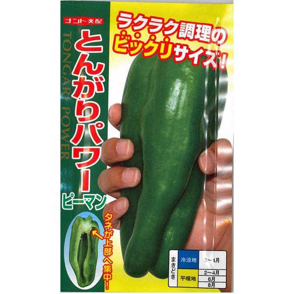 ジャンボ肉厚ピーマンで、タネが上部に集まり調理が簡単！樹勢が旺盛で維持が容易、花芽が多い多収性品種です！