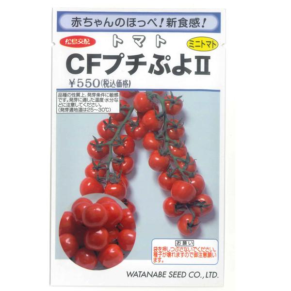 果皮が極く薄く、赤ちゃんのほっぺのような新食感のミニトマトです。糖度が高く、トマトの風味に富んで食味は抜群です！