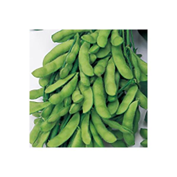 79〜80日タイプ（関東標準）の早生品種。極早生品種同様に早い作型の栽培にも向き、秋収穫（抑制栽培）にも適応性があります。3粒莢率が高く、ほんのり香りがあり、おいしいです。ハウス、トンネル作型でも安定して着莢します。「天ヶ峰」と比較して、分...