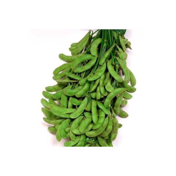 本商品は、1月下旬〜2月上旬に発送予定となります。ゆで上がりの莢が鮮やかな緑色で美しい白毛品種です。収穫時の子実色は緑色で、登熟時の種皮色は緑色のいわゆる「青豆」です。独特な芳香に加え、甘みとうまみにすぐれた茶豆風味です。80日タイプ（関東...