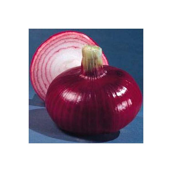 【発売日：2026年07月20日】【7月下旬頃発送】良質でおいしい生食用のレッドオニオンです。外皮は美しい赤紫色です。玉は厚みのある扁円で、1球平均320g程度の大玉によくそろいます。葉は濃緑で、首は細く長いので、切り玉にも吊り玉にも適しま...