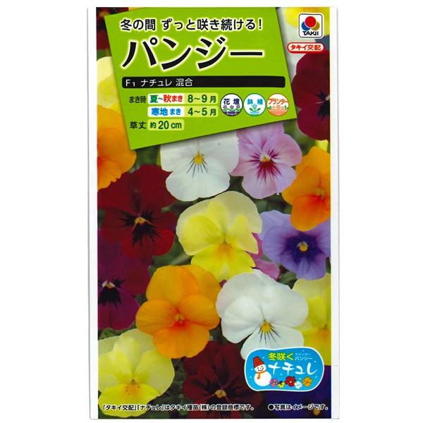 花径3〜4cmほどの小輪で、秋から初夏まで長期間、たくさんの花が咲きます。パンジーの豊富な花色とビオラの長期開花性をあわせ持つ、ガーデニング好適種です。