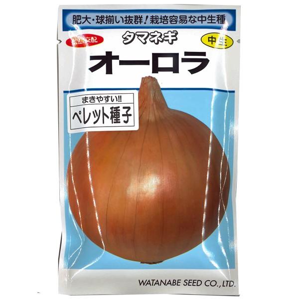 秋まき用の中生種で、梅雨本番前に収穫できます。一球350gくらいの豊円黄大球で、揃い良く極多収です。吊り下げ貯蔵での年内貯蔵が可能です。