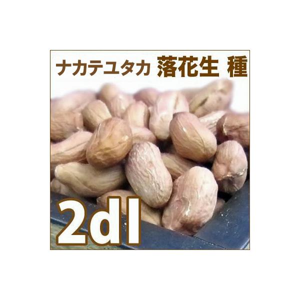 【発売日：2026年03月30日】【3月下旬頃より順次発送予定】開花期から80日前後で収穫できる中生種。草姿は立性で、草勢は中位で葉色は淡緑。分枝数はやや多く、莢の大きさはやや長大。収量性が高く、あっさりとした甘味があり、茹で落花生に適する...