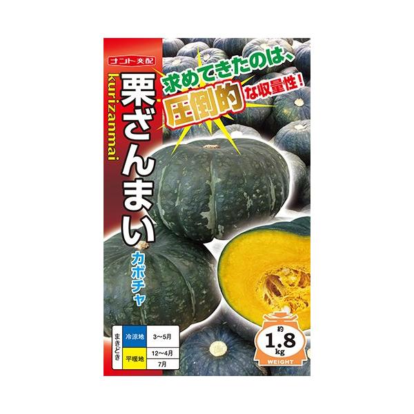 着果性に優れたくりかぼちゃ！肉質は粉質で甘み強く食べやすいです。草勢は強く、うどんこ病にかかりにくい。最後までツル持ちがいいので日焼け果がでにくい。