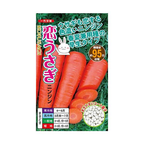 春秋兼用の早生95日タイプでありながら、裂根が少ないため非常に収量性が高い。また、優れた揃い性も兼ね備えているため規格外品によるロスも少ない！根色は外皮・内部ともに鮮やかに発色。肉質柔らかめで食味の良さも大好評！葉軸がしっかりしており、機械...