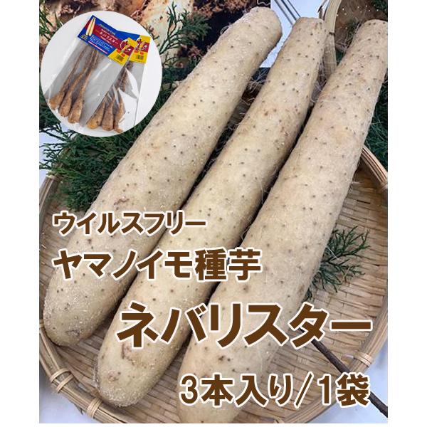【発売日：2026年03月10日】“とろろ”はもちろん、煮ても、焼いても、レンジでも！ まさに万能ヤマノイモ！ヤマトイモ(イチョウイモ)とナガイモを人工交配した品種です。粘度は、従来のナガイモの2倍以上です。イモの長さは、従来のナガイモより...