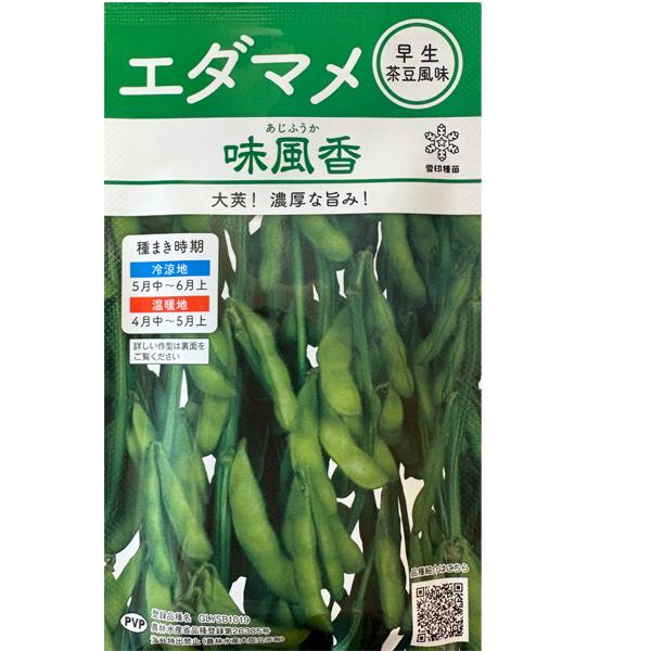 甘味が極めて強く濃厚な旨み！播種後80日前後（一般地標準）で収穫できる早生種です。大莢で着莢良好です。