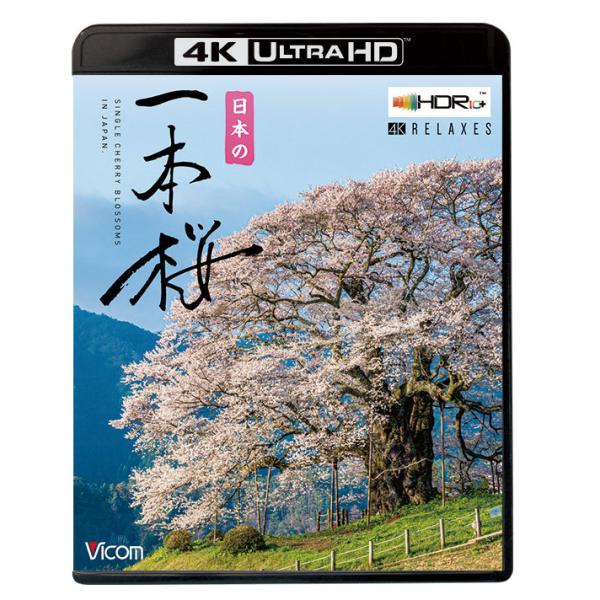 【発売日：2021年03月21日】VUB-5712　税込5,500円　2音声　1.リニアPCM STEREO　2.リニアPCM 5.1ch　本編42分+13分　2021年3月21日発売気高く、美しく、孤高の一本桜日本列島に春の訪れを告げる『...
