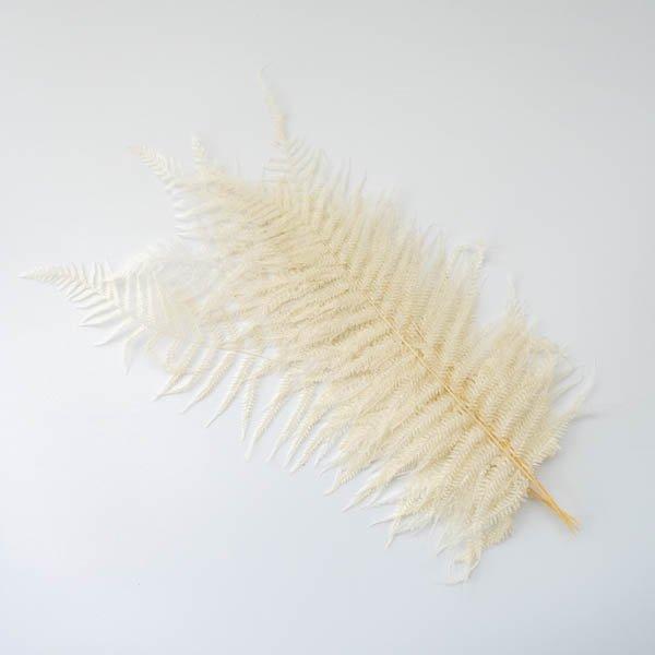 【商品情報】長さ：約48.0cm素材：ナガシダ(天然素材)※10枚セットになります【注意事項】・天然素材を使用しているため、サイズや色に多少のばらつきがあります。・直射日光や高温多湿での保存はカビや色あせや虫がつく恐れがありますので、避けて...