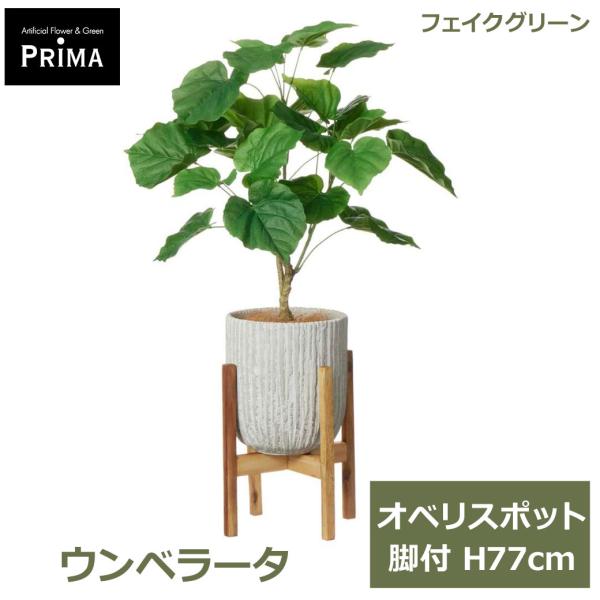 ナチュラルな雰囲気が人気の観葉植物 ウンベラータ全体サイズ：約W45×D45×H77cm器＋スタンド：Φ22.5×H34cm器のみ：Φ18×H21cm材質：ポリエステル、プラスチック器：セメントスタンド：天然木付属品：ココファイバー重量：約...