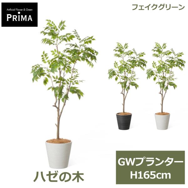 繊細な葉が空間を彩る ハゼの木のフェイクグリーン全体サイズ：約W70×D60×H165cm器のみ：Φ31×H29cm材質：ポリエステル、プラスチック器：合成樹脂付属品：ココファイバー重量：約5.7kgブランド：GREENPARK画像提供：プ...