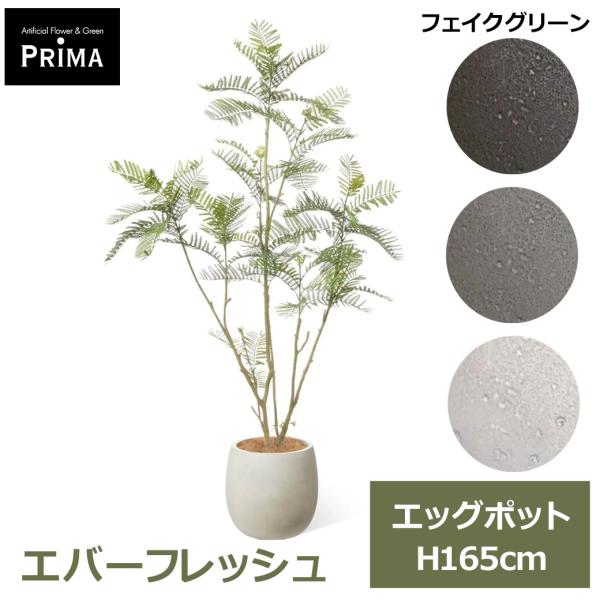 恋愛運・出会い運を高めるとされるエバーフレッシュ全体サイズ：約W90×D70×H165cm器のみ：Φ30×H31cm材質：ポリエステル、プラスチック器：FRP付属品：ココファイバー重量：約6.8kgブランド：GREENPARK画像提供：プリ...