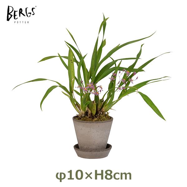 植物の魅力を最高に引き立てる究極の鉢サイズ：Φ10×H8cm・ソーサー付き材質：テラコッタmade in ItalyBERGS potter バーグスポッター JULIE ジュリー 10 グレー42882 / 4582528498829 /...