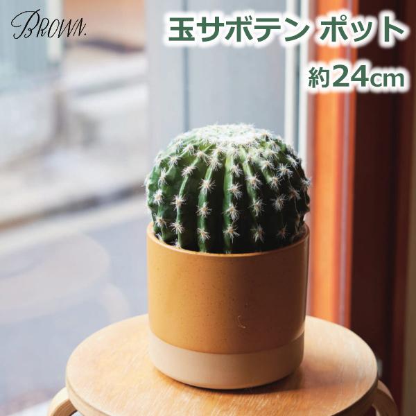 まんまるボリューミーな玉サボテンポットサイズ：本体・約24cm / ポット・H12.6cm×φ11cm素材：ポリエチレンmade in china商品名：玉サボテン ポット 24cm型番：992771 / JAN：4573112702163...