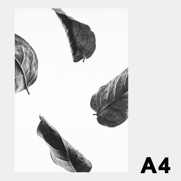 空中に浮いている葉サイズ：210x297mm A4サイズ材質：クリアフィルム（UVプリント）※フレームは付属しておりません。made in Denmark関連ワード：○8117 Floating Leaves 02 (中) A4 ポスター ...