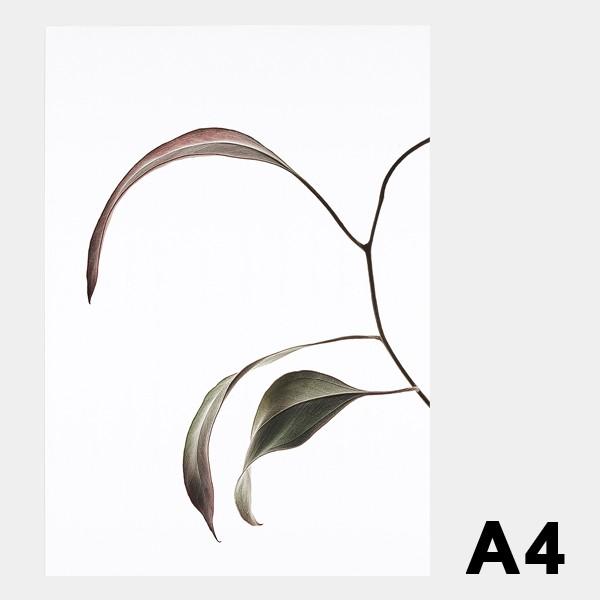 空中に浮いている葉サイズ：210x297mm A4サイズ材質：クリアフィルム（UVプリント）※フレームは付属しておりません。made in Denmark関連ワード：△8132 Floating Leaves 07 (中) A4 ポスター ...