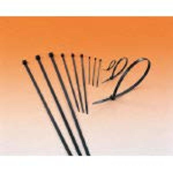 【商品名】　ヘラマンタイトン MSタイ 幅4.8X長さ251mm 100本入 屋外用 T60SHSW 【商品説明】　・66 nylon; Total length 9.8 inches (251 mm) x width 1.9 inches...