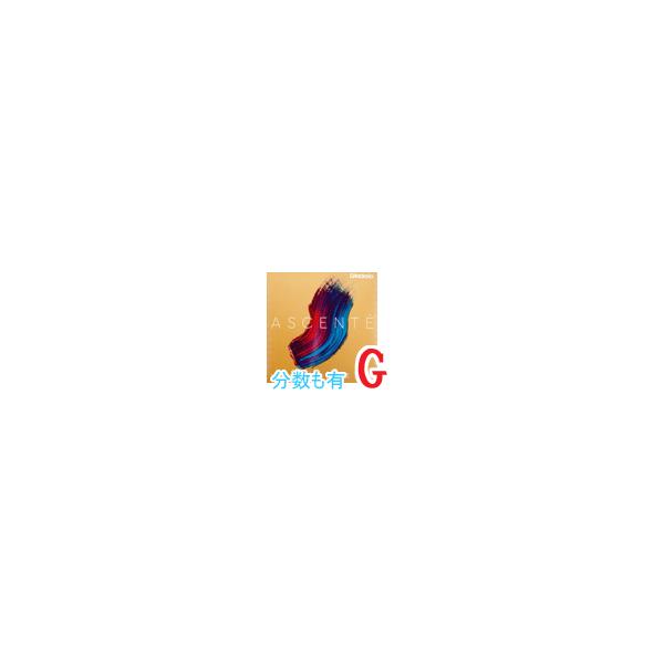 D'Addario（ダダリオ）社／Ascente（アセンテ）4/4〜3/4用シンセティック弦でありながら低価格を実現。Ｄ・Ｇ線にはMonel（ニッケルと銅の合金）を巻き線に使用しています。暖かく柔らかな音色と、弾き心地の良いレスポンスが特徴...