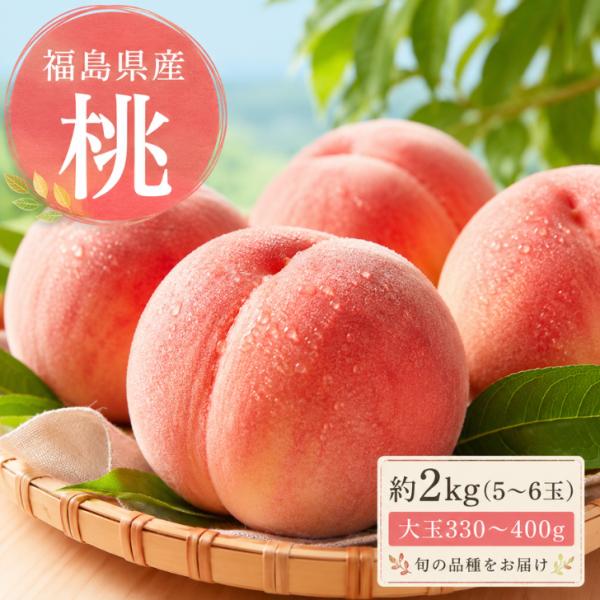 福島県産、産地直送の新鮮な桃です。高温多湿を避け、冷暗所にて保存。