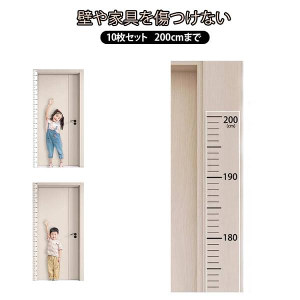 長さ200cm　幅5.2cm※サイズ表の実寸法は商品によって1-3cm程度の誤差がある場合がございます。