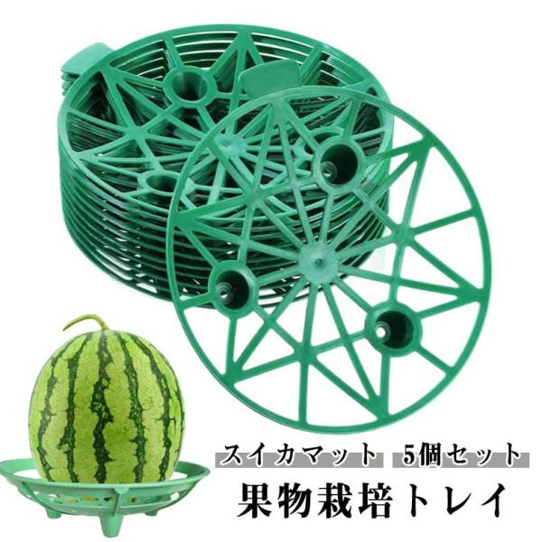 サイズ：21.5*19.5cm。※実寸はメジャー採寸の為、若干の誤差が生じる場合があります。
