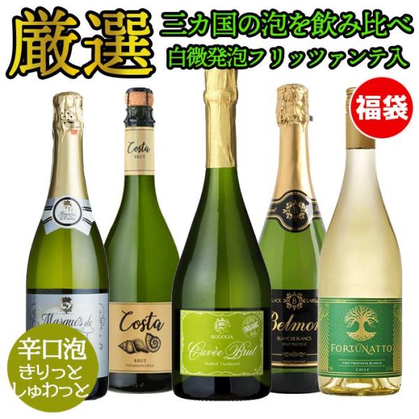 お得すぎる泡三昧！スパークリング飲み比べ5本☆ロドリア キュヴェ・ブリュット(白泡：辛口)●ベルモン・ブラン・ド・ブラン・ブリュット・プレステージ(白泡：辛口)☆フォルトゥナート ヴィノ・フリッツァンテ ブランコ(白泡：辛口)●コスタ ブリ...