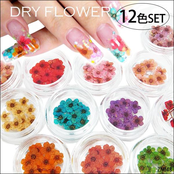 【発売日：2012年02月24日】■ネイルデコレーションに！可愛いドライフラワー12種類セット■花のサイズ：約7〜9mm■1種類につき10枚入っています。■そのまま使用・保管できるクリアコンテナ入り■外ケース（約）：127×97×25mm◎...