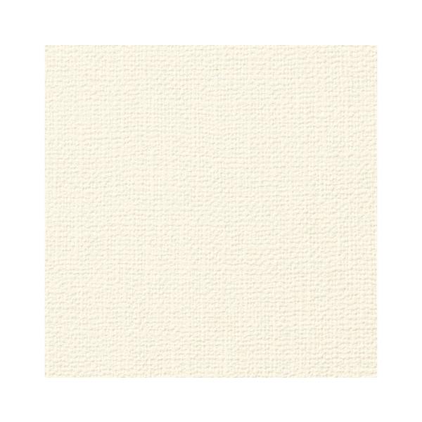 ■メーカー：サンゲツ 壁紙 クロス■カタログ：23-26 ファイン（FINE）■カテゴリー：抗ウイルス壁紙■シリーズ：■品番：FE76327■旧品番（廃盤）：FE74726■同一商品：RE53803 TH32535 ■機能：表面強化一般のビ...