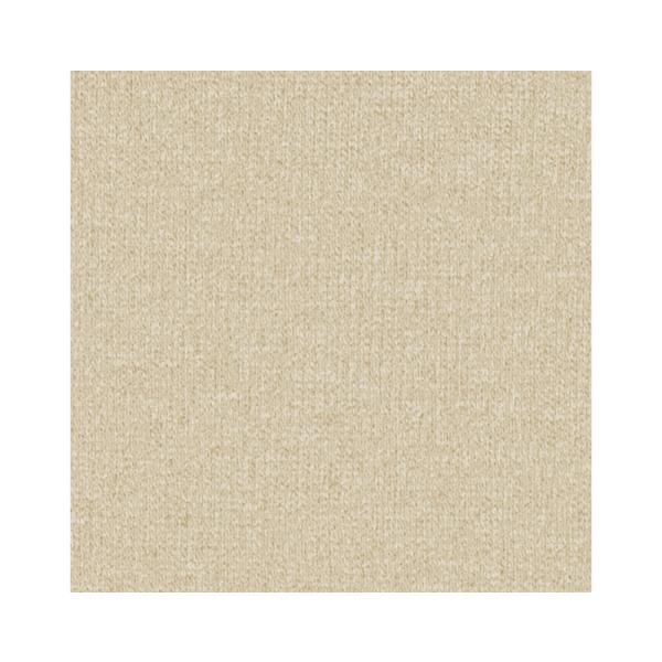 ■メーカー：サンゲツ 壁紙 クロス■カタログ：23-26 ファイン（FINE）■カテゴリー：スーパー耐久性■シリーズ：■品番：FE76407■機能：汚れ防止付着した汚れが拭き取りやすいメンテナンス性に優れた壁紙です。(汚れ防止性能4級以上)...