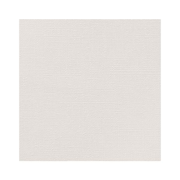 ■メーカー：サンゲツ 壁紙 クロス■カタログ：23-26 ファイン（FINE）■カテゴリー：プロジェクター用壁紙■シリーズ：■品番：FE76484■旧品番（廃盤）：FE74799■同一商品：RE53856  ■機能：プロジェクター壁面をスク...