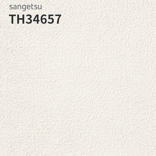 ■カテゴリー：マテリアル■シリーズ：■品番：TH34657■旧品番（廃盤）：TH32124■リピート：64.1cm x 92.5cm■機能：抗菌/消臭/不燃石膏ボード(厚さ12mm以上)および不燃材料に施工した場合、不燃認定となる商品です。...