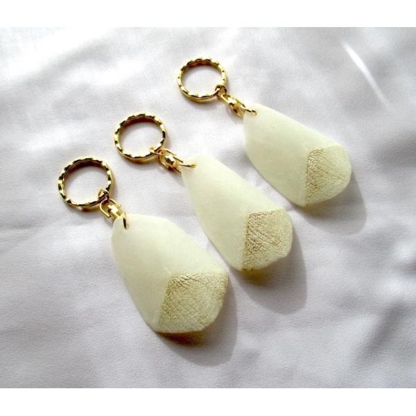 ※発送方法はポスト投函サービスのご利用で送料無料になります。・アマゾンのピラルクの鱗（うろこ）・サイズ：ＸＬ　長さ６cm前後です。・タイプ：白系・ペルー政府発行の輸出証明書(CITES)取得後の正式輸入品です。・ペルーアマゾンからの直輸入品...