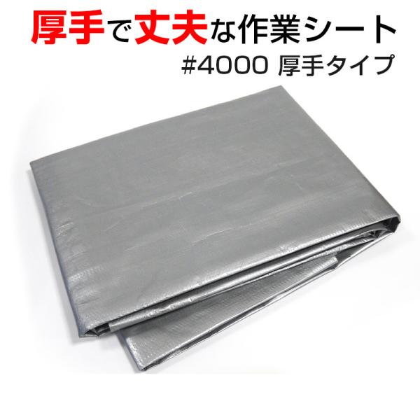 生産国・原産国：ベトナム素材/材料：ポリエチレン特長：＃4000 厚手タイプ。両面コーティングにて防水性を強化。土木・建築現場に、仮設倉庫に、間仕切りなどにおすすめです。※寸法は製造上多少のバラつき（±3%程度）があります。予めご了承ください。