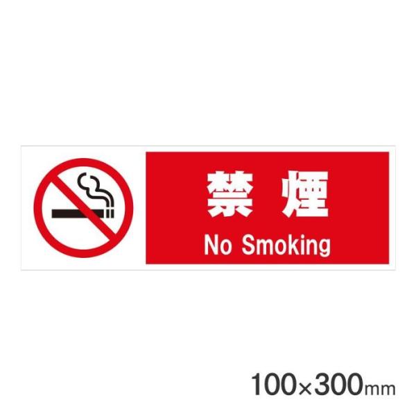 ■採寸100×300mm:サイズ100×300mm