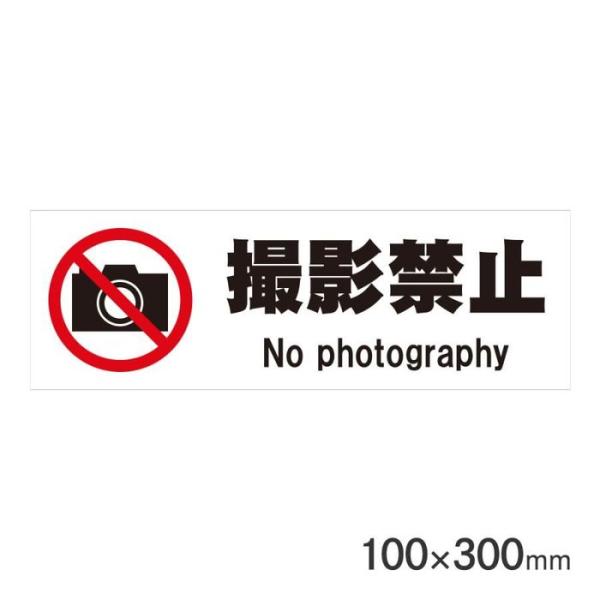 ■採寸100×300mm:サイズ100×300mm