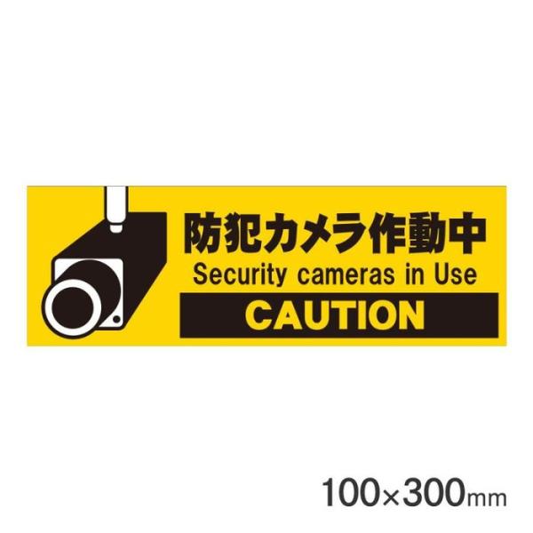 ■採寸100×300mm:サイズ100×300mm
