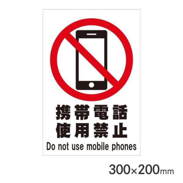 ■採寸300×200mm:サイズ300×200mm