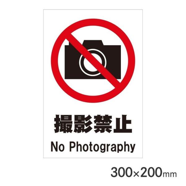 ■採寸300×200mm:サイズ300×200mm