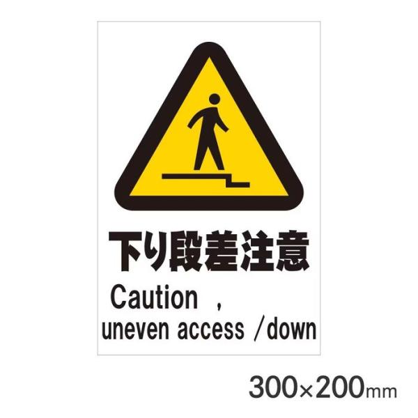 ■採寸300×200mm:サイズ300×200mm