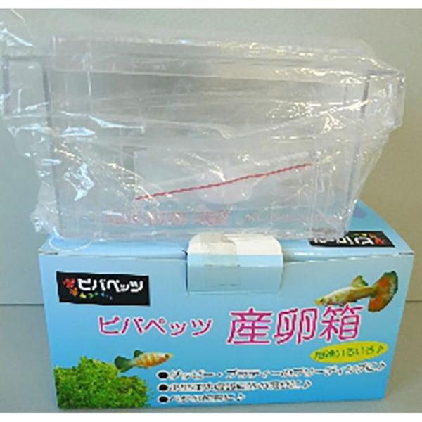 ■採寸その他サイズ１: