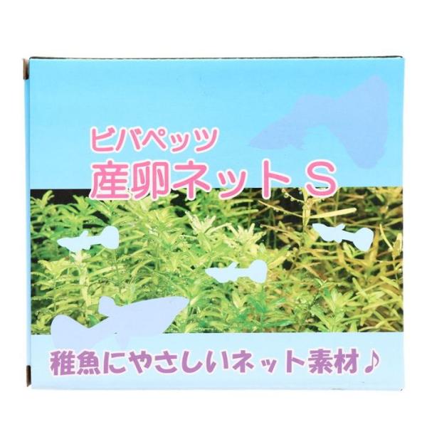 ■採寸Sサイズ: