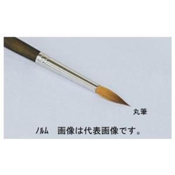 ■採寸12丸 水彩画・デザイン筆: