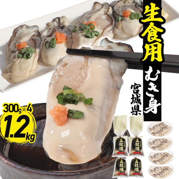 宮城県 牡蠣小屋工場から産地直送!! 生食用は1〜4月末まで発送の期間限定品!! 5〜8月発送は加熱用になります。生食用の場合はポン酢醤油などかけても良し、フライやグラタン、炒め物など加熱料理にも。宮城県の牡蠣は三陸の地形上、牡蠣のエサが豊...