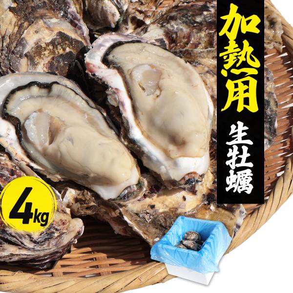 牡蠣小屋直送！宮城県産 殻付き牡蠣「加熱用」。加熱用は獲る海域の違いで「鮮度は生食用と変わりありません」。バーベキューや蒸し牡蠣、様々な加熱料理に。宮城県の牡蠣は三陸の地形上、牡蠣のエサが豊富なので、全国的に見ても濃厚な味わいと言われていま...