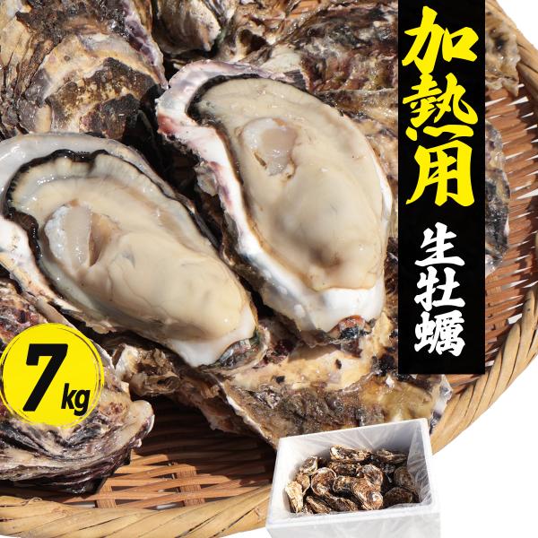 牡蠣小屋直送！宮城県産 殻付き牡蠣「加熱用」。加熱用は獲る海域の違いで「鮮度は生食用と変わりありません」。バーベキューや蒸し牡蠣、様々な加熱料理に。宮城県の牡蠣は三陸の地形上、牡蠣のエサが豊富なので、全国的に見ても濃厚な味わいと言われていま...