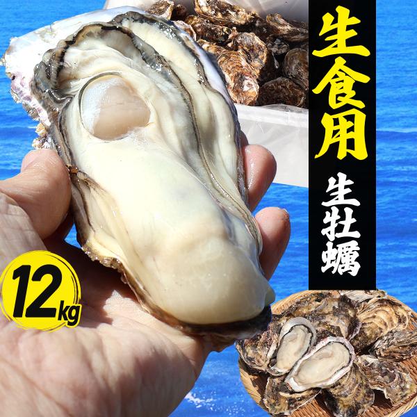 牡蠣小屋の牡蠣！産地直送！宮城県産殻付き牡蠣「生食用」。ポン酢などかけても良し、バーベキューや蒸し牡蠣にも。宮城県の牡蠣は三陸の地形上、牡蠣のエサが豊富なので、全国的に見ても濃厚な味わいと言われています。旨味の詰まった殻付き牡蠣をお楽しみ下...