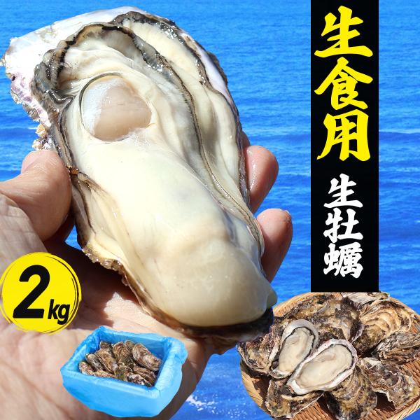 牡蠣小屋の牡蠣！産地直送！宮城県産殻付き牡蠣「生食用」。ポン酢などかけても良し、バーベキューや蒸し牡蠣にも。宮城県の牡蠣は三陸の地形上、牡蠣のエサが豊富なので、全国的に見ても濃厚な味わいと言われています。旨味の詰まった殻付き牡蠣をお楽しみ下...