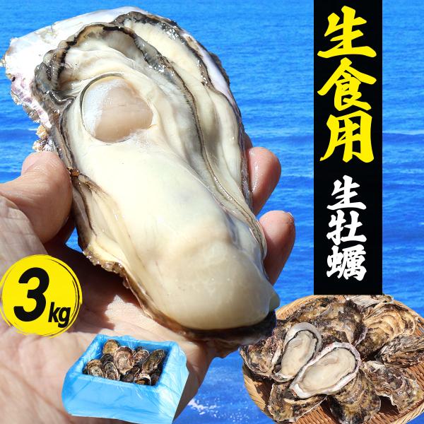 牡蠣小屋の牡蠣！産地直送！宮城県産殻付き牡蠣「生食用」。ポン酢などかけても良し、バーベキューや蒸し牡蠣にも。宮城県の牡蠣は三陸の地形上、牡蠣のエサが豊富なので、全国的に見ても濃厚な味わいと言われています。旨味の詰まった殻付き牡蠣をお楽しみ下...